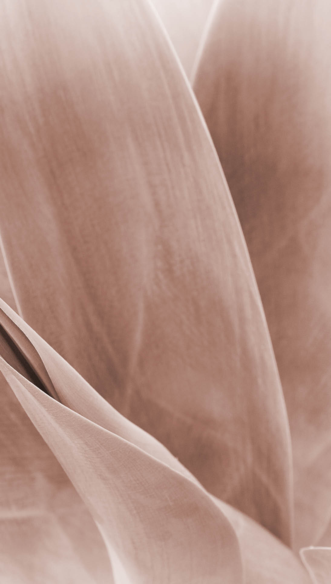 Revinage | MUZE Skincare